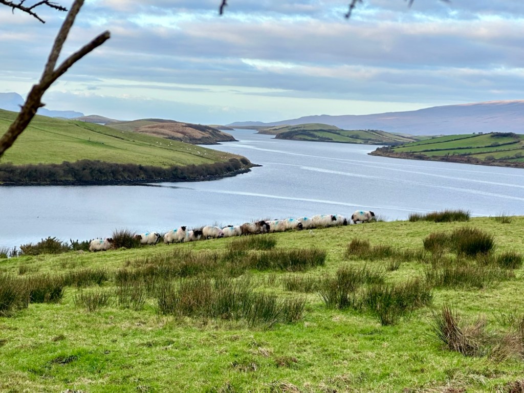 Happy New Year’s Eve… from the couch + Ireland trip teaser – GRATEFUL KAE